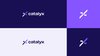 Catalyx – Science of Operational Processes — Graphic Design & Branding ...