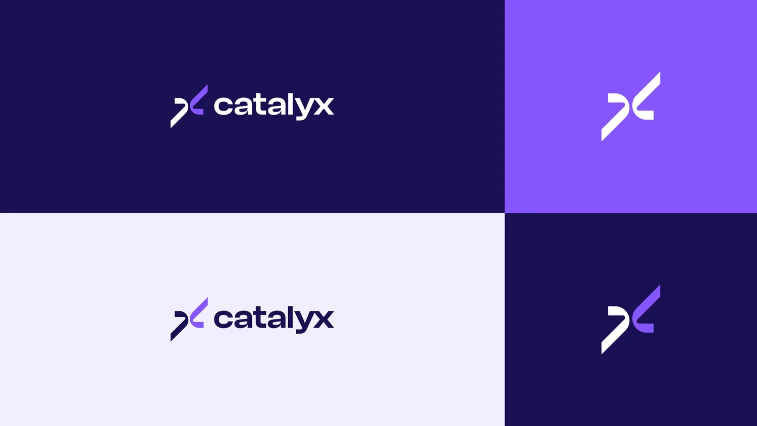 Catalyx – Science of Operational Processes — Graphic Design & Branding ...