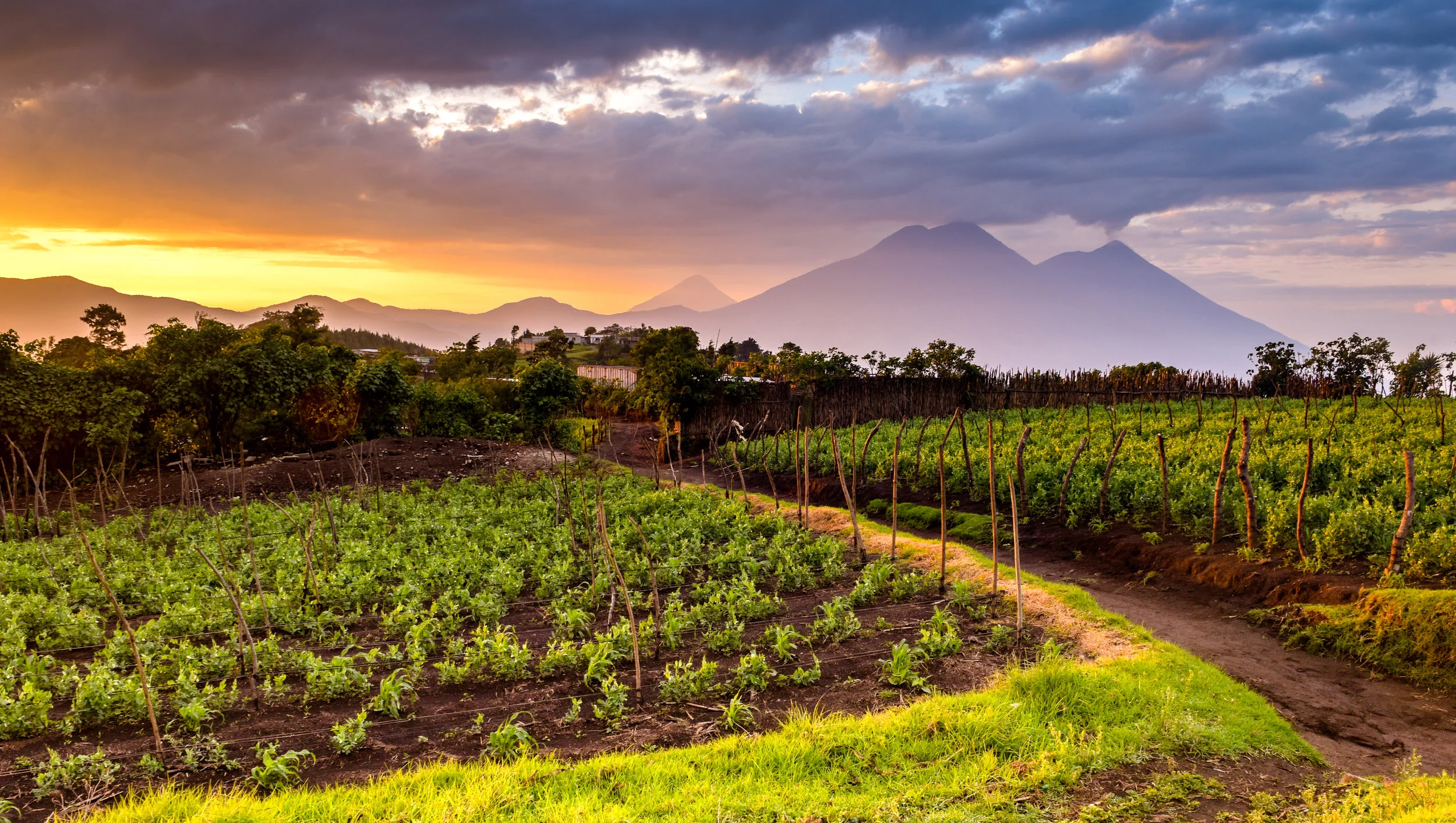 Camp Guatemala — Root Adventures
