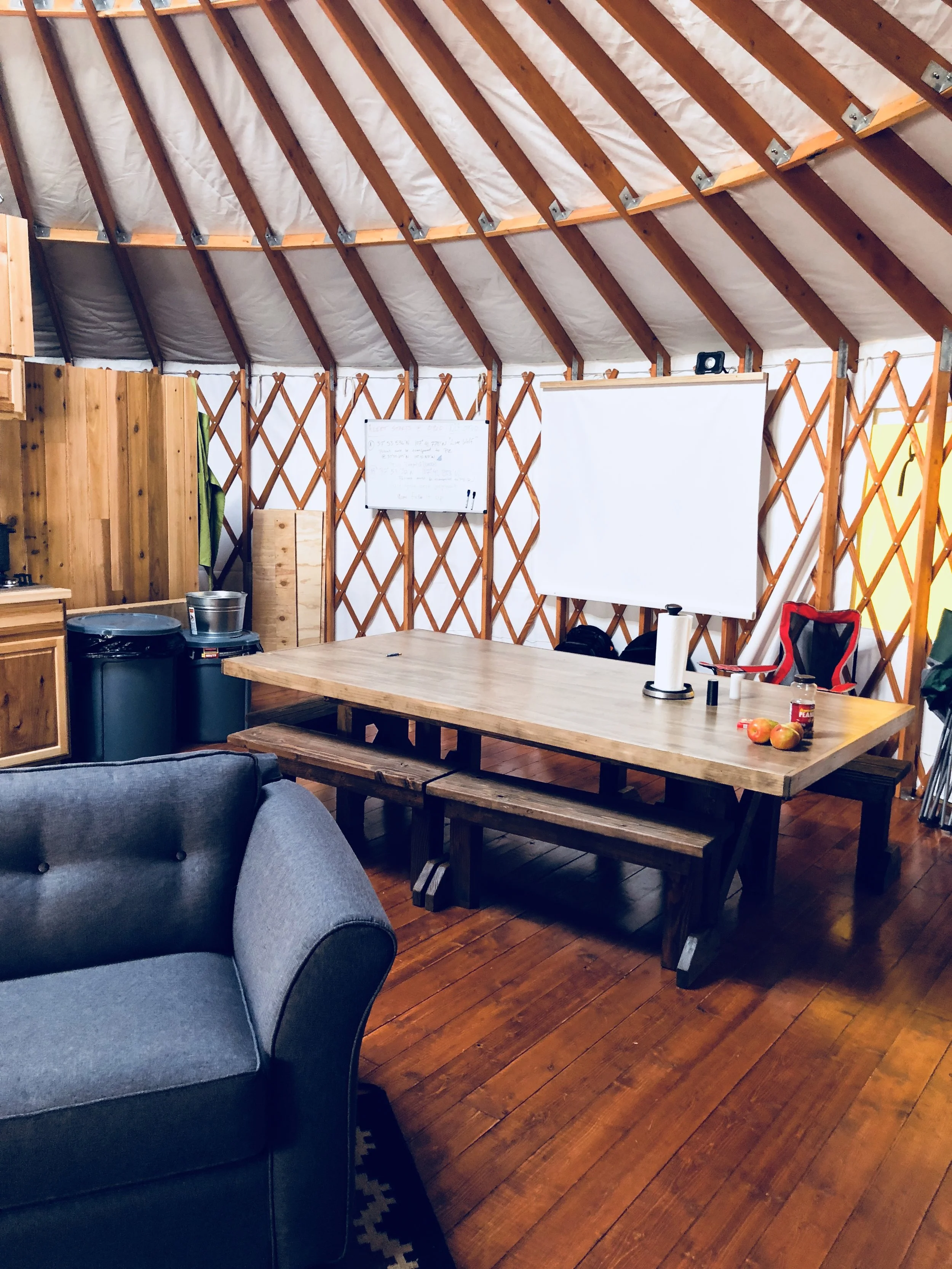 Root Fest! — Root Adventures