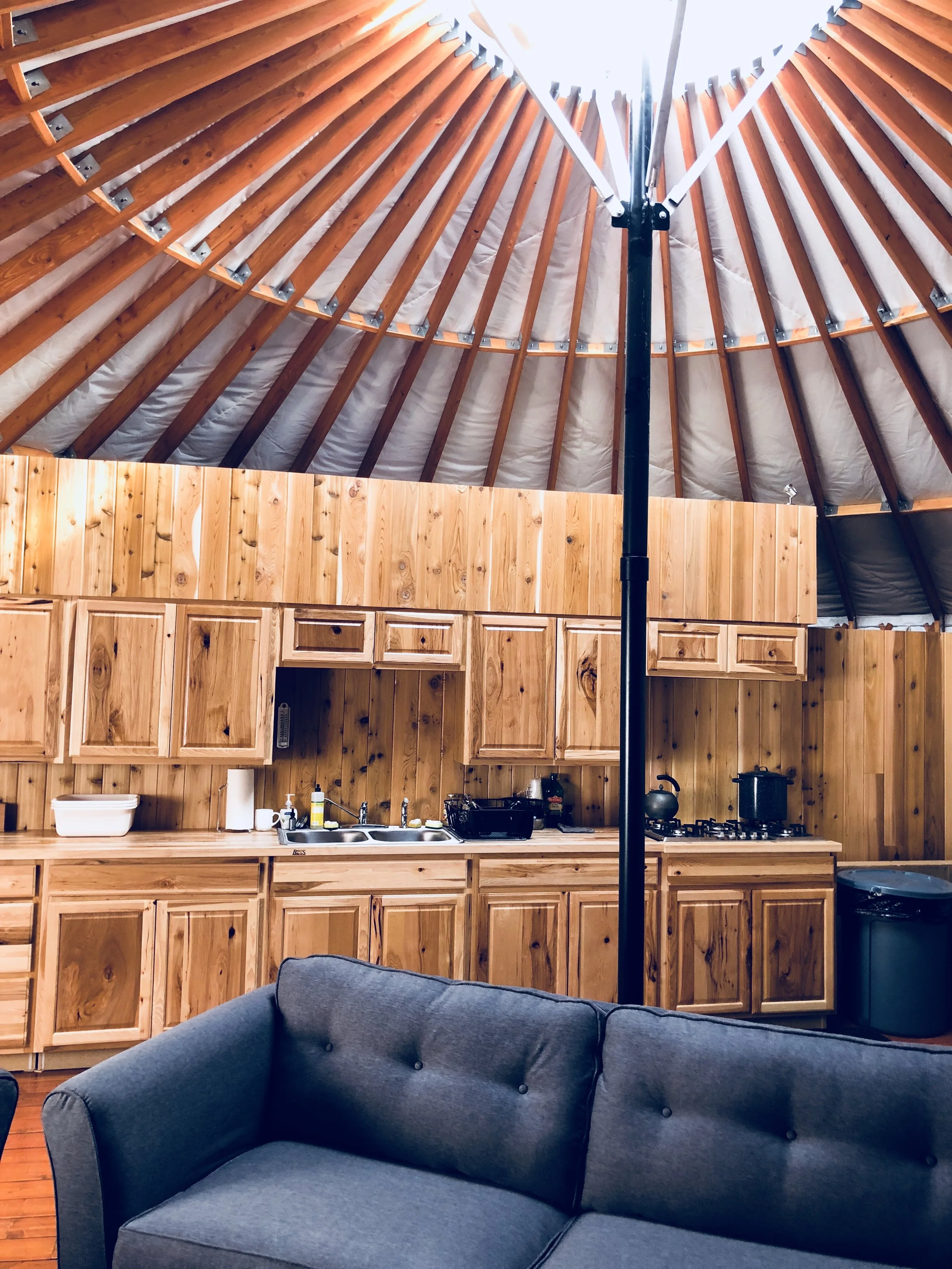 Root Fest! — Root Adventures