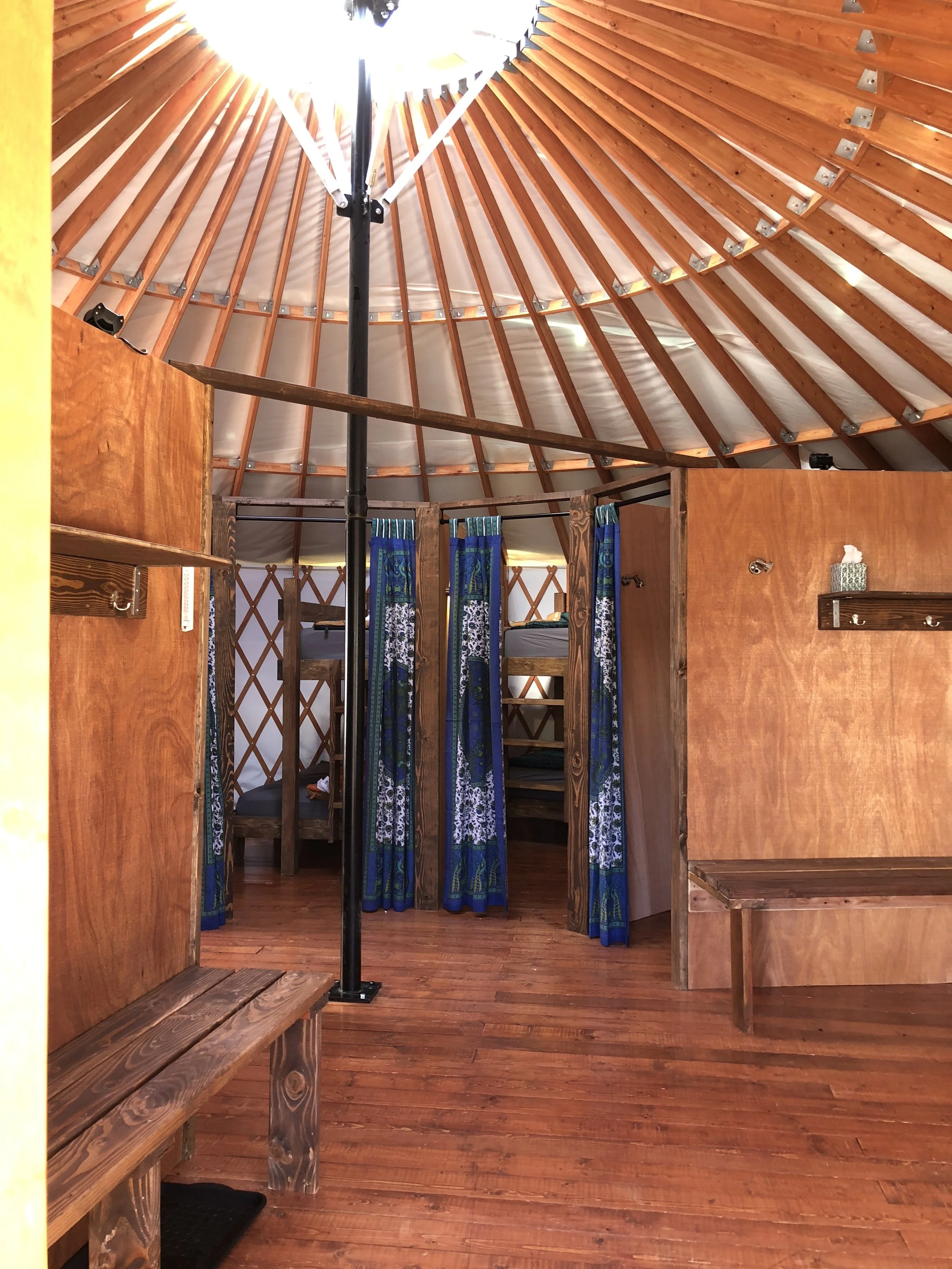 Root Fest! — Root Adventures