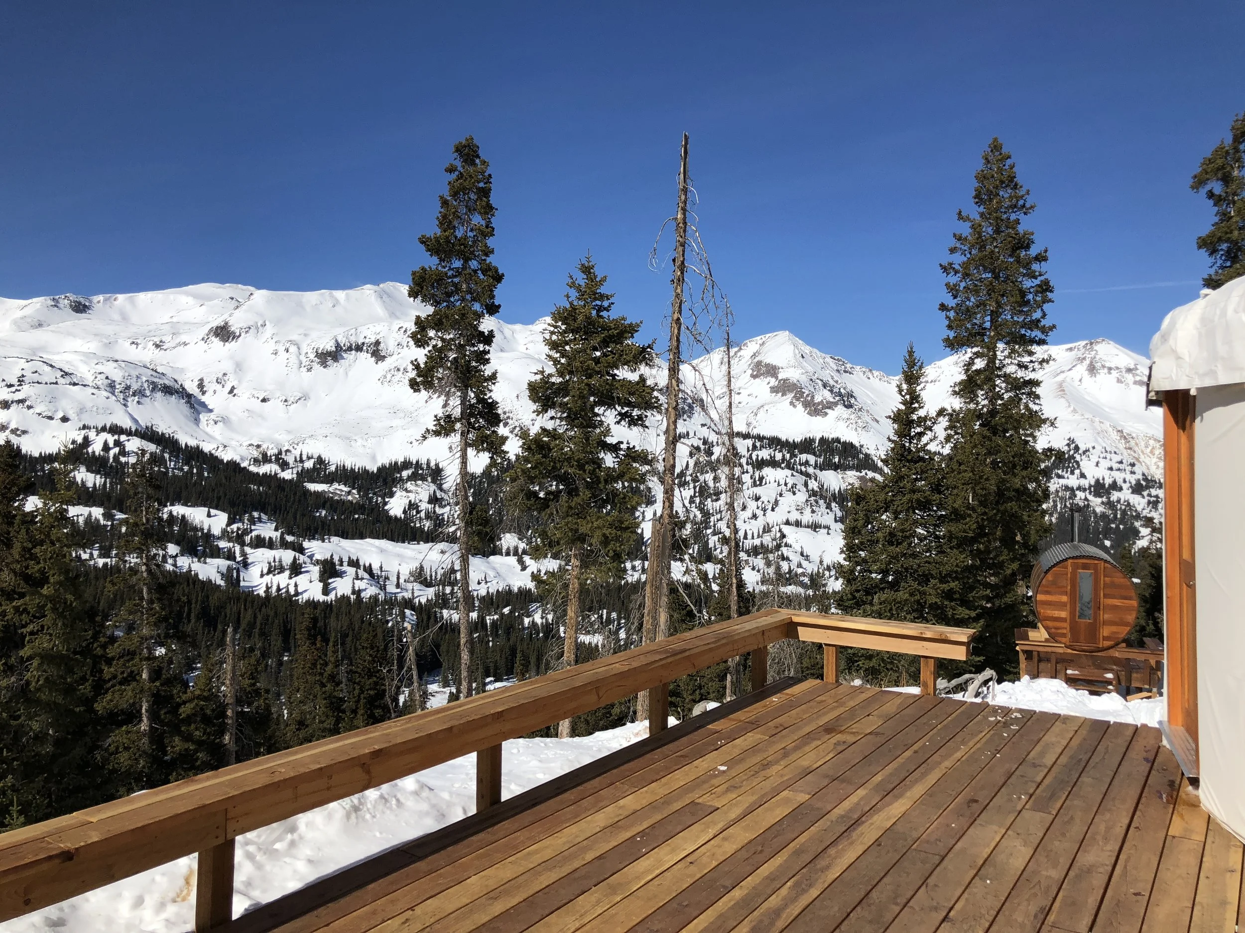 Root Fest! — Root Adventures