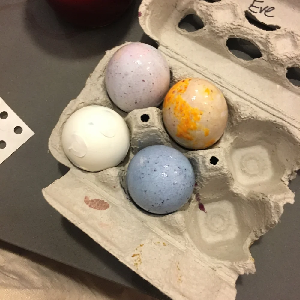Dyeing Eggs with Natural Colors — Teaching Table