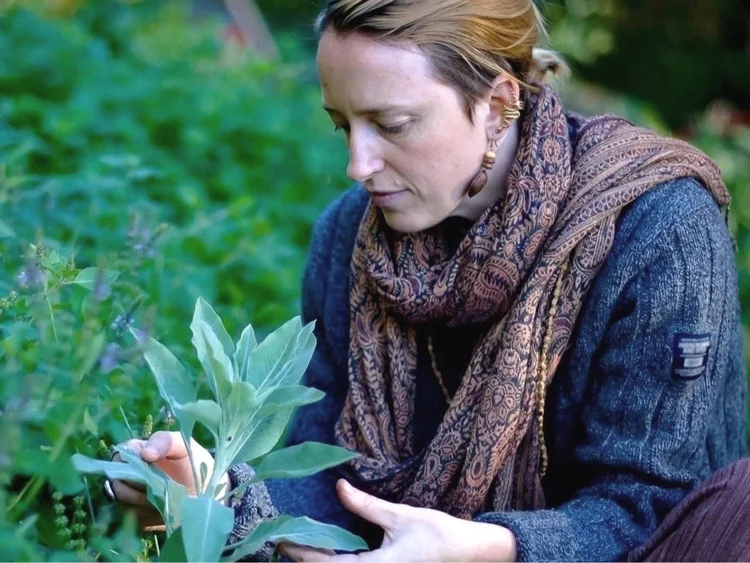 A Year of Gaia | Online Herbalism & Plant Medicine Apprenticeship — The ...