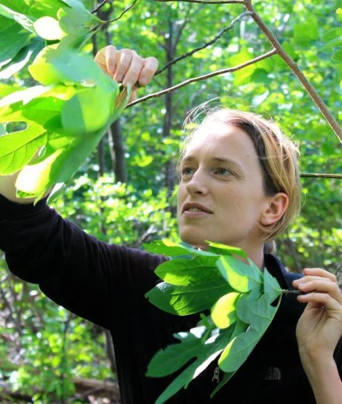 Healing Through Lyme Disease — The Gaia School of Healing & Earth Education