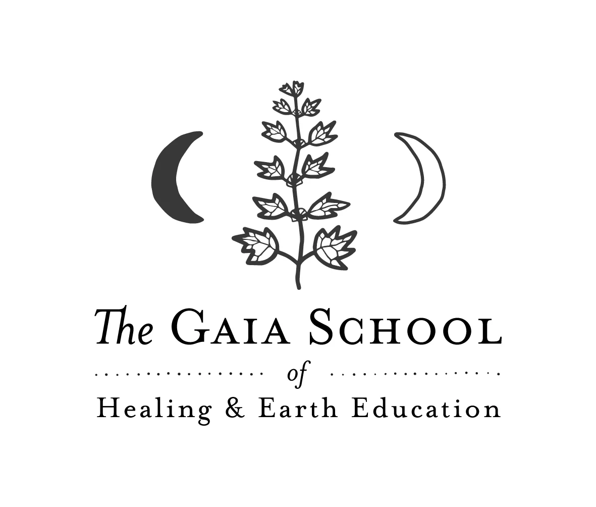 Phytochemistry of Plants Class Series — The Gaia School of Healing ...