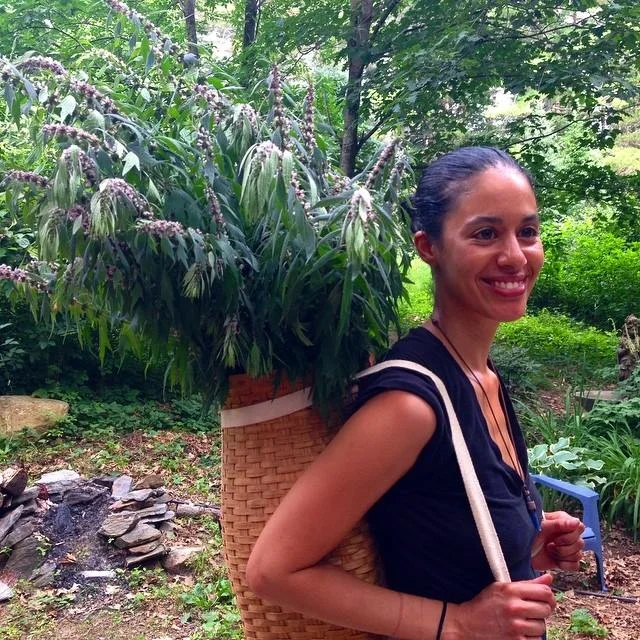 The Gaia School of Healing | Sacred Plant Medicine Courses ...