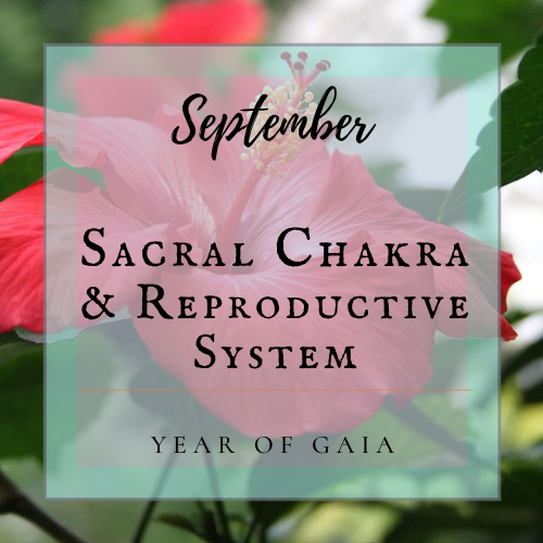 A Year of Gaia — The Gaia School of Healing & Earth Education