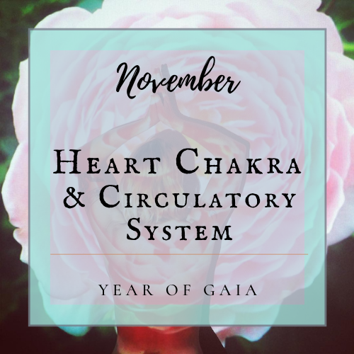 A Year of Gaia — The Gaia School of Healing & Earth Education