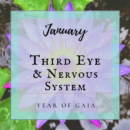 A Year of Gaia — The Gaia School of Healing & Earth Education
