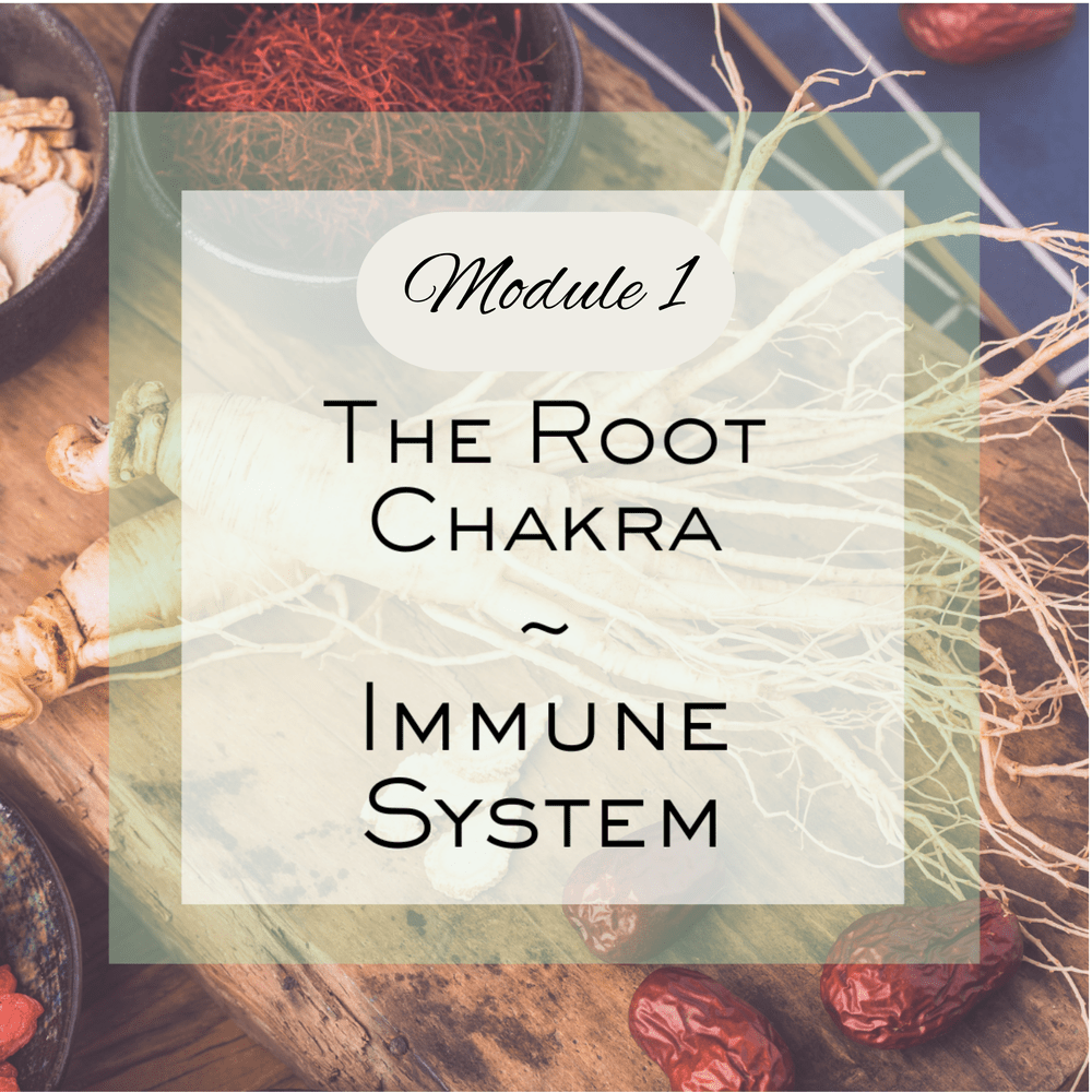 Year Two Online — The Gaia School of Healing & Earth Education