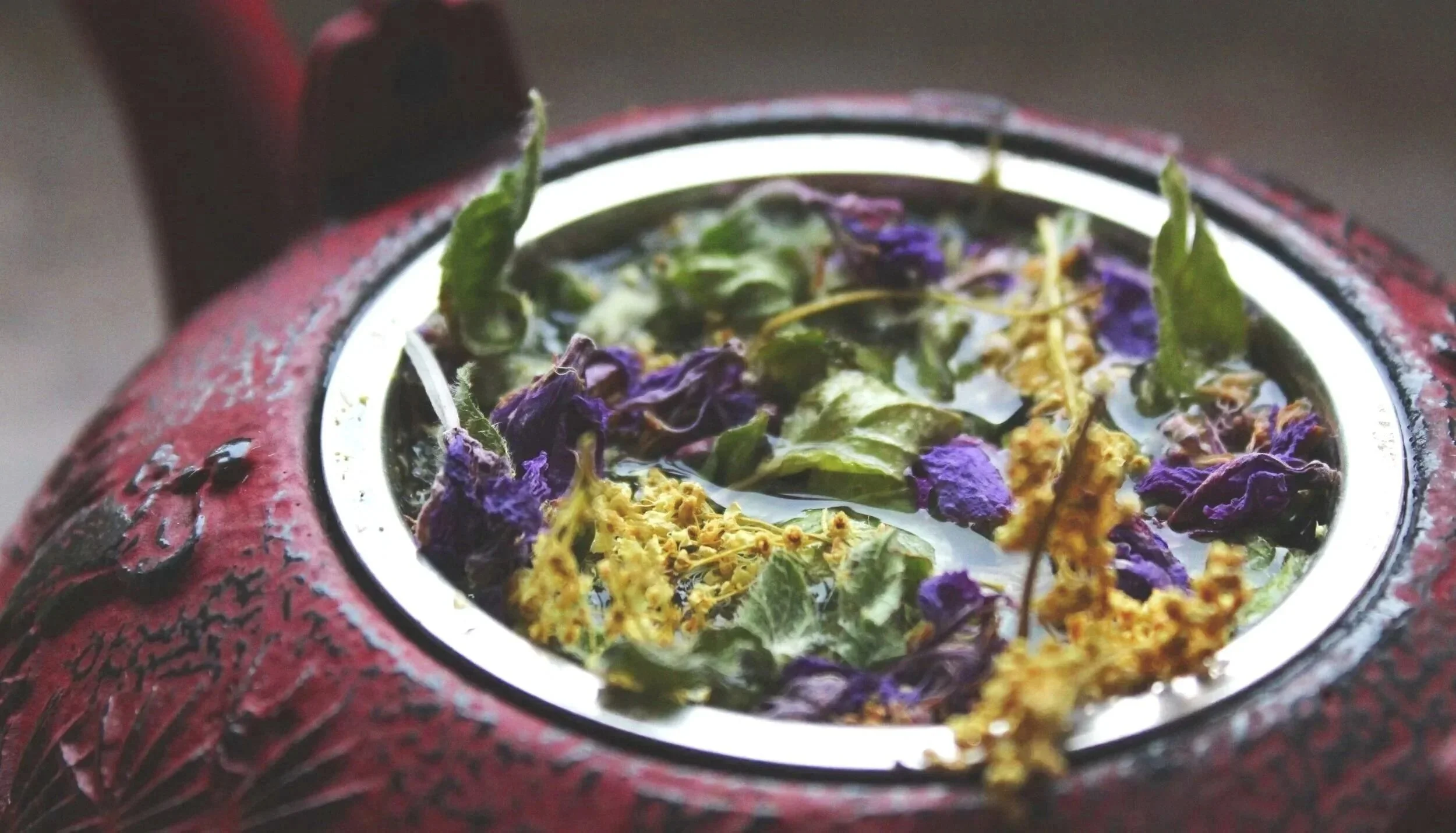 A Year of Gaia | Online Herbalism & Plant Medicine Apprenticeship — The ...
