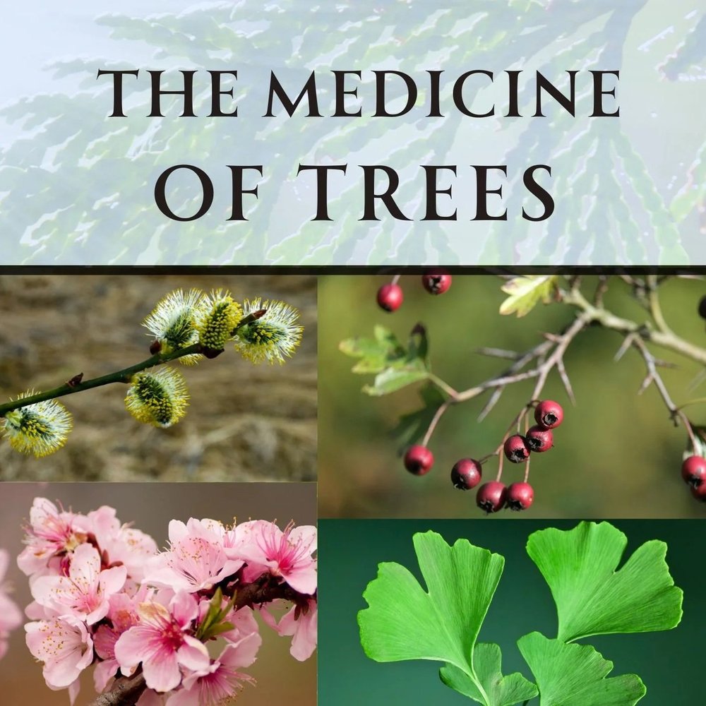 The Gaia School of Healing | Sacred Plant Medicine Courses ...