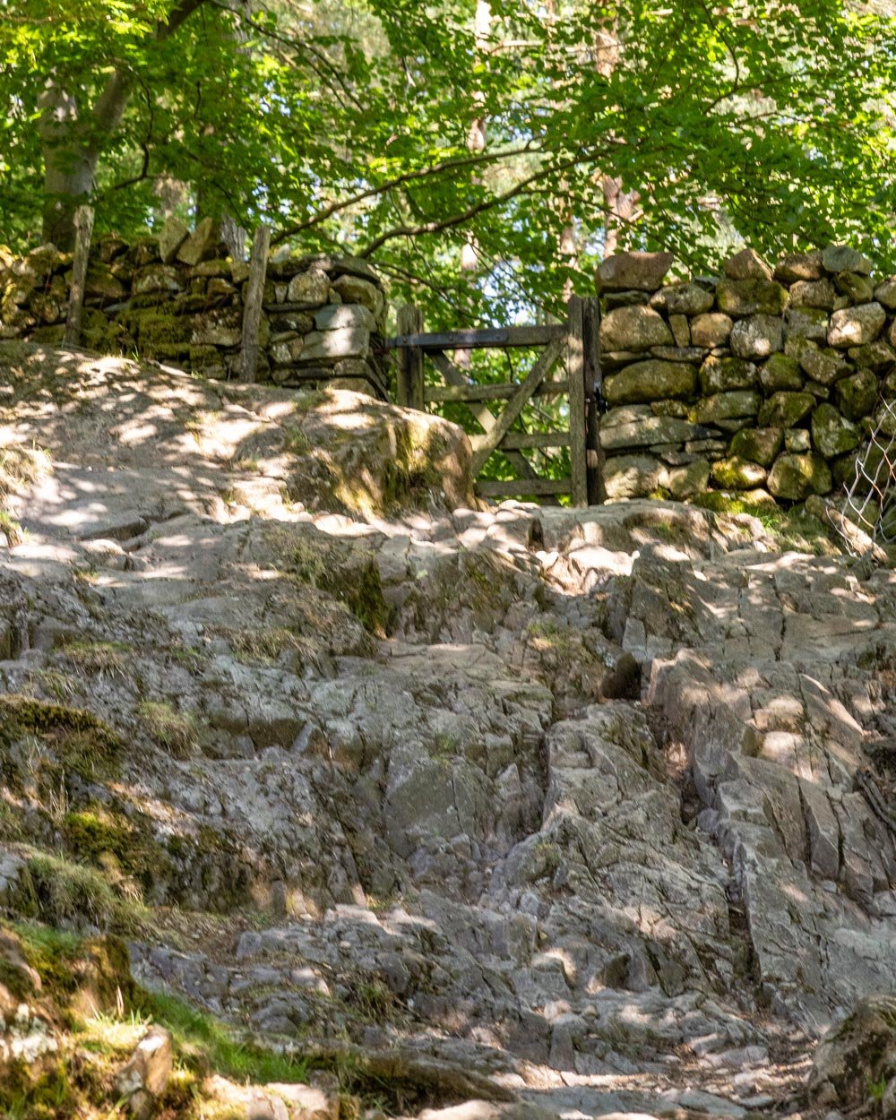 Black Moss Pot: the truth about wild swimming at the Lake District's ...