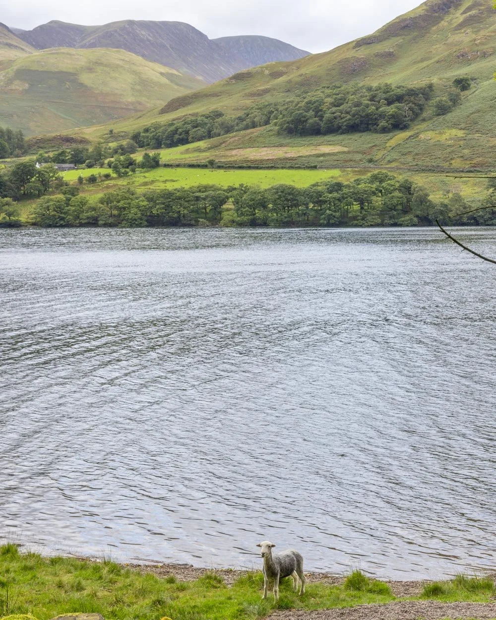The Buttermere Lake Walk: spectacular views and secret swimming holes ...