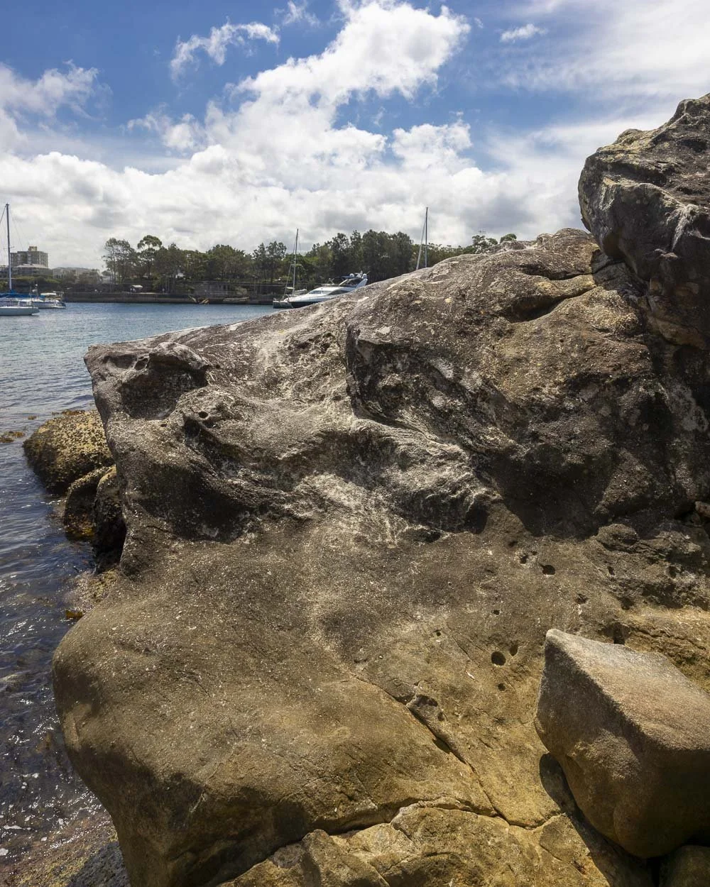 Store Beach: how to reach the most beautiful beach in Manly without a ...