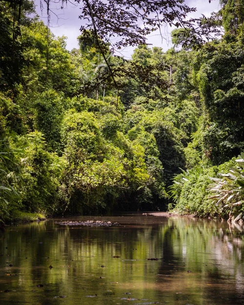 Naguala Waterfall: a fun adventure in Drake Bay that doesn't require a ...