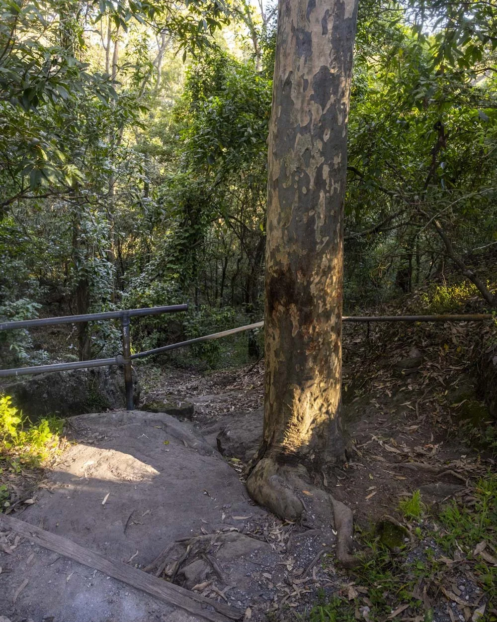 Bens Walk Nowra: caves, a suspension bridge and a hidden Aboriginal art ...