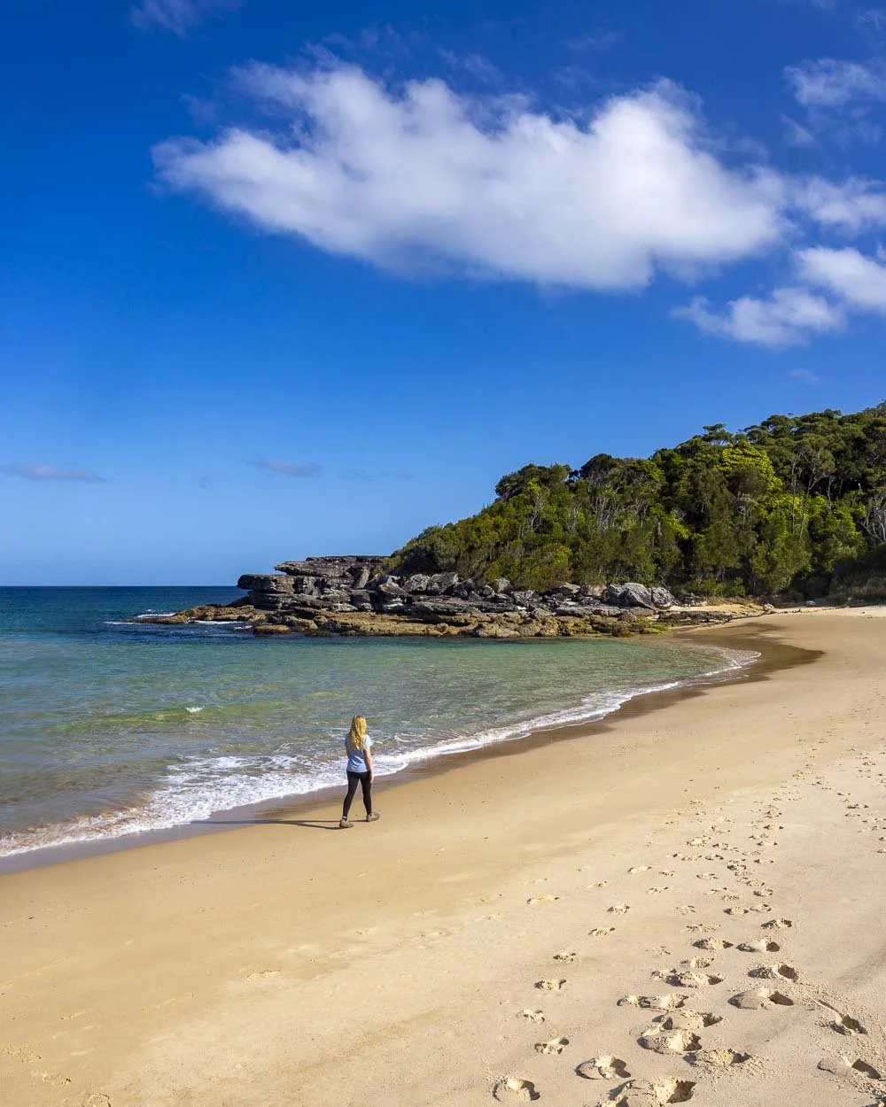 Honeymoon Bay and Target Beach: some of the best beaches in Jervis Bay ...