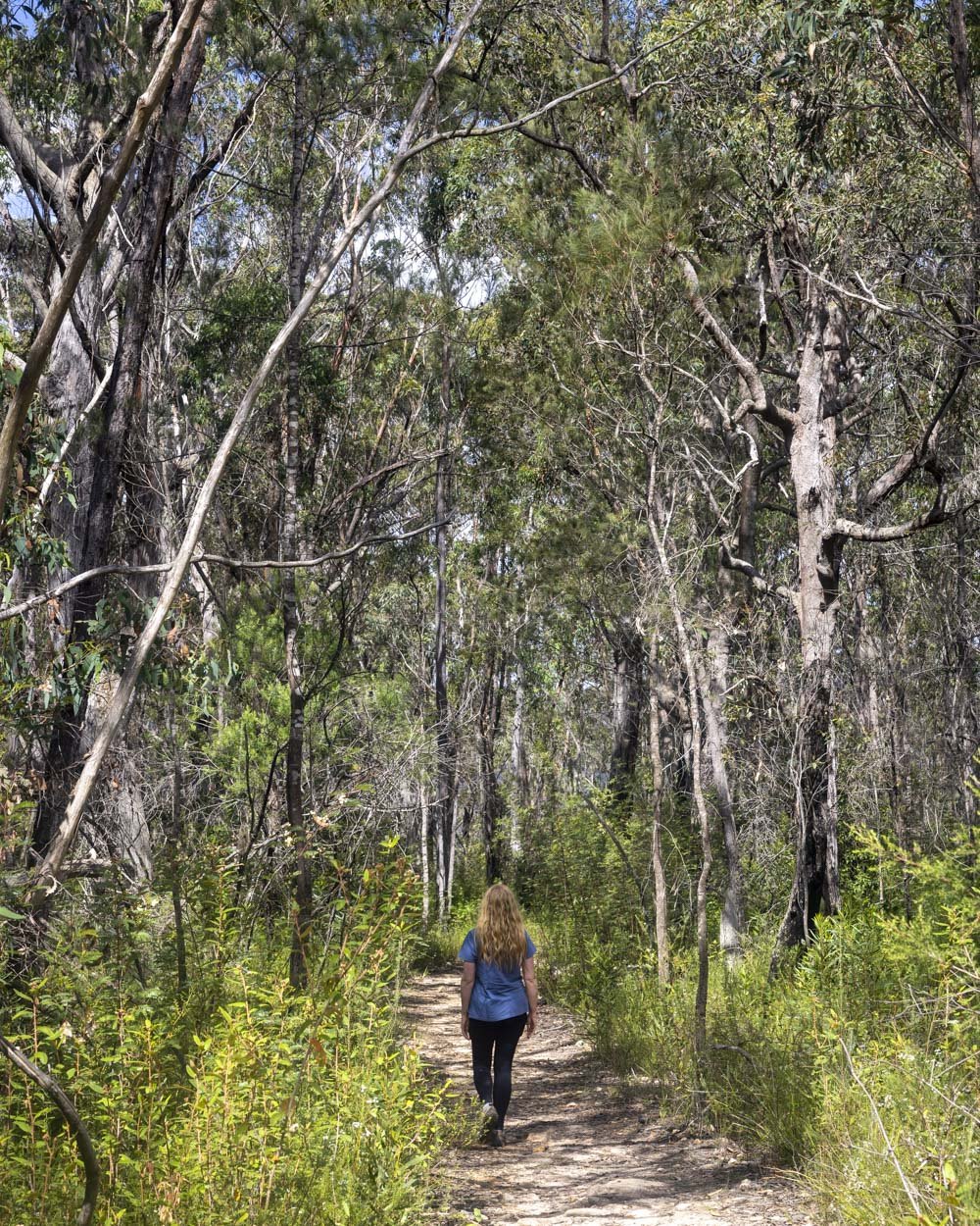 Bundanoon Creek: how to find the secret Fairy Canyon Falls — Walk My World