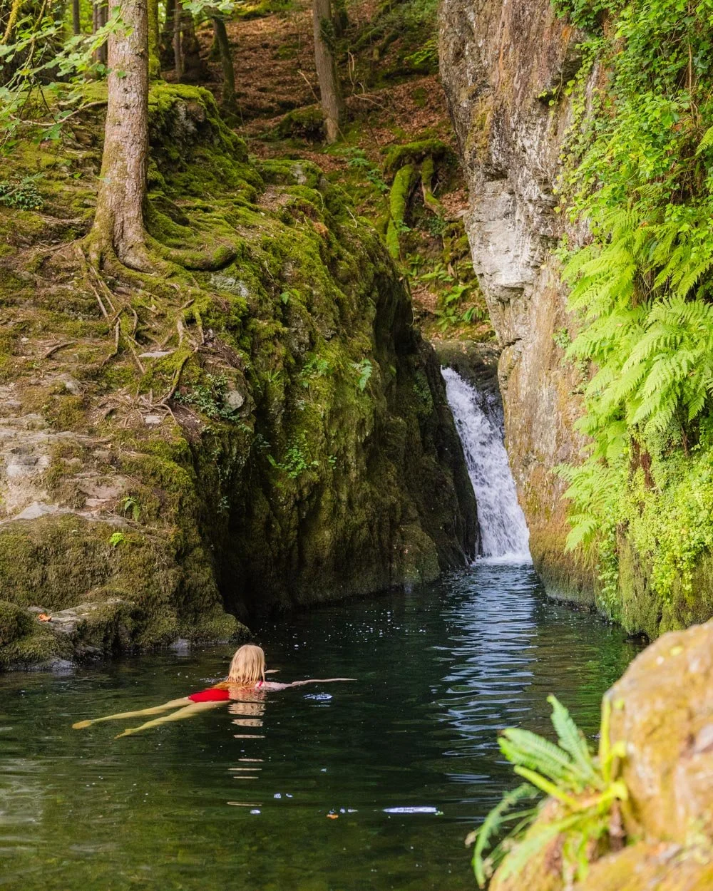 Ffynone Waterfall: wild swimming in Pembrokeshire's hidden fairy grotto ...