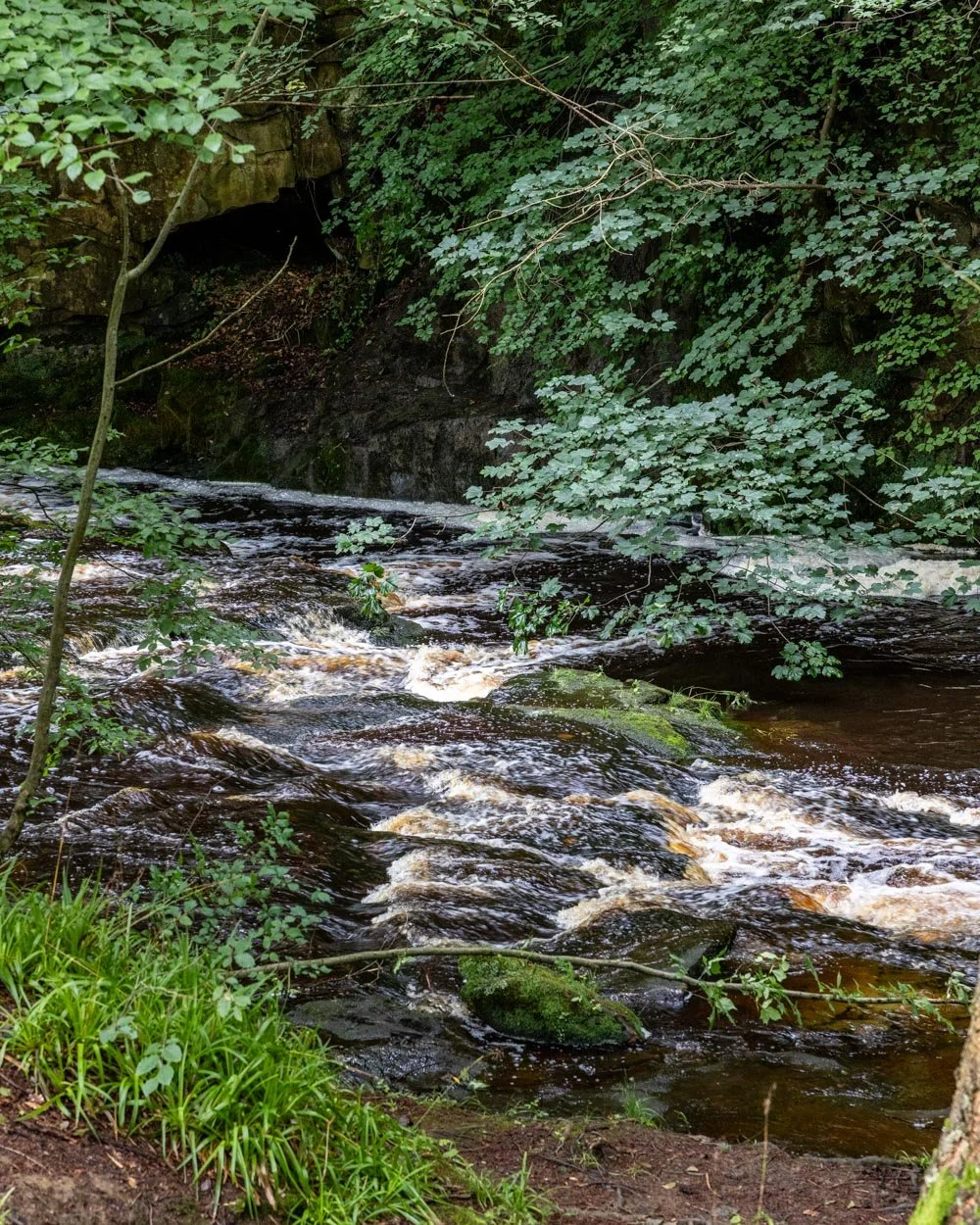 Hartburn Grotto: Northumberland's secret Hobbit Hole — Walk My World