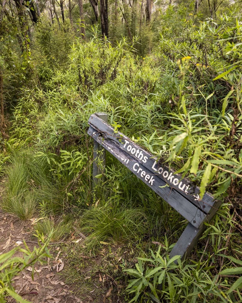 Bundanoon Creek: how to find the secret Fairy Canyon Falls — Walk My World