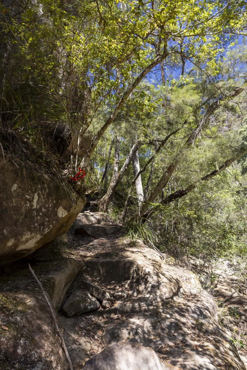 Sharks Head Cave Circuit: epic swimming holes and a hidden cave — Walk ...