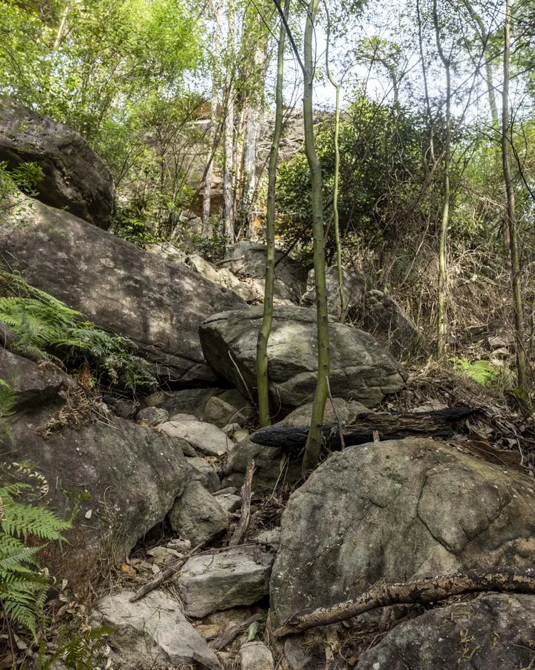 How to find the Bugong secret grotto near Nowra — Walk My World