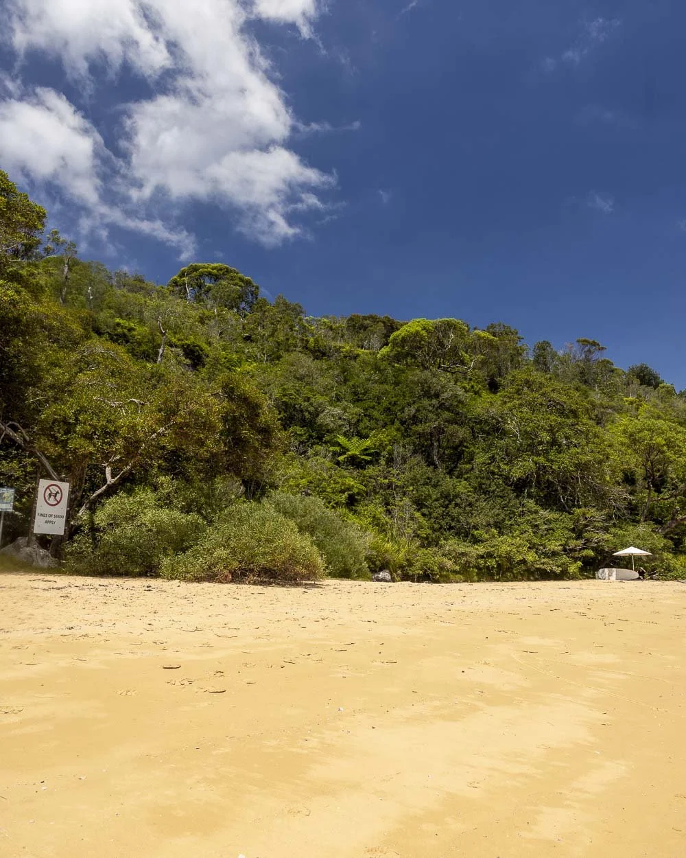 Store Beach: how to reach the most beautiful beach in Manly without a ...