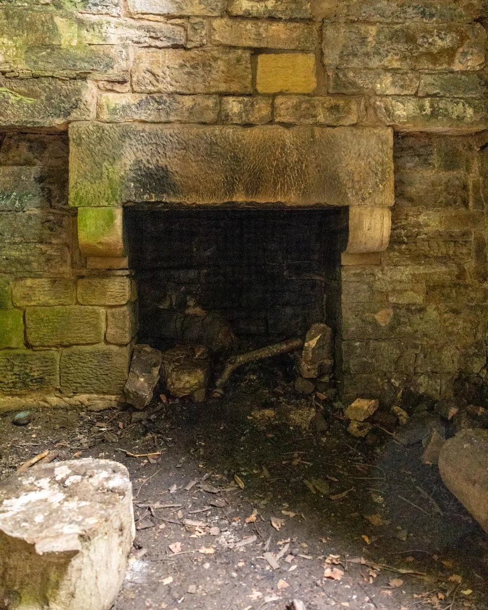 Hartburn Grotto: Northumberland's secret Hobbit Hole — Walk My World