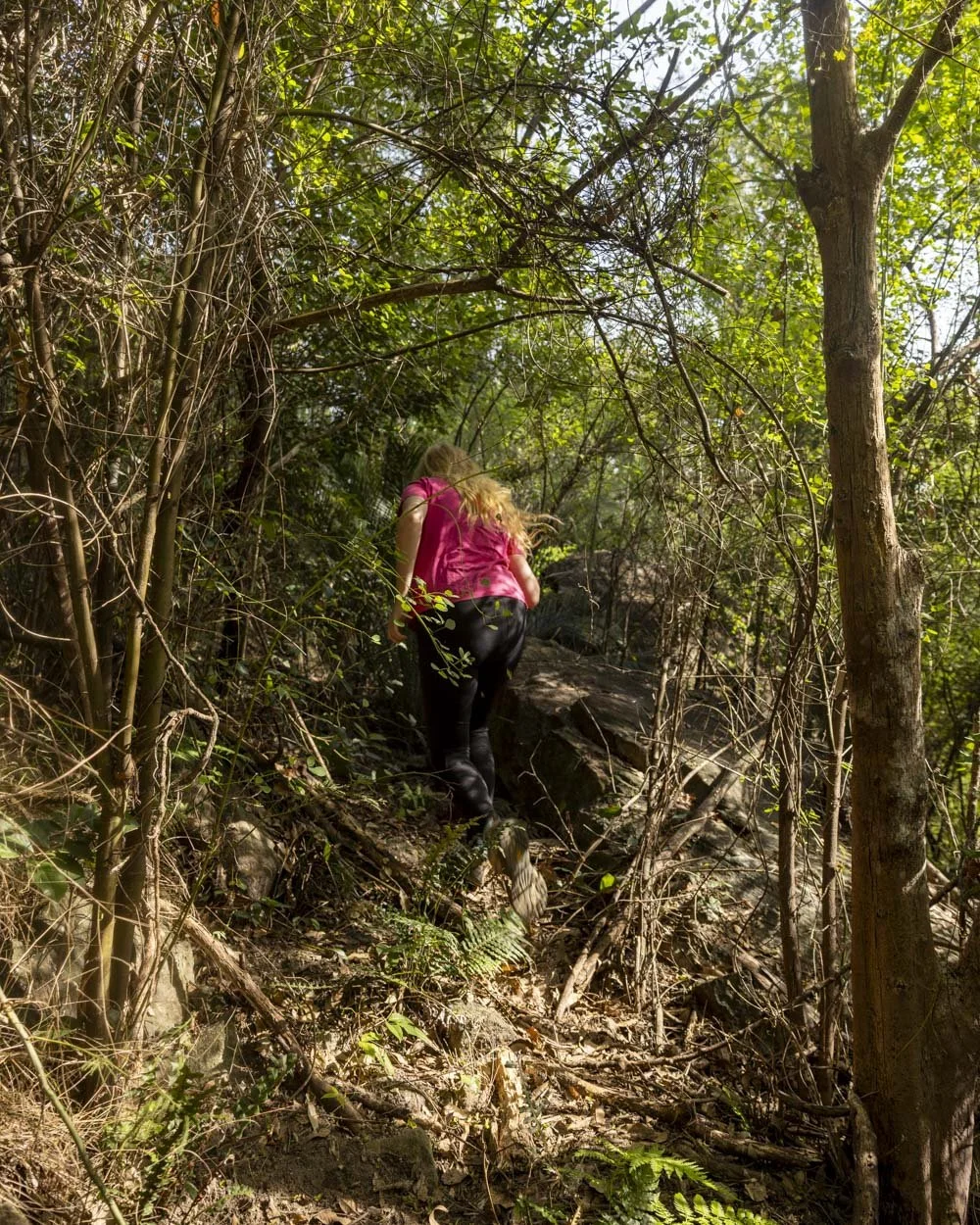 How to find the Bugong secret grotto near Nowra — Walk My World