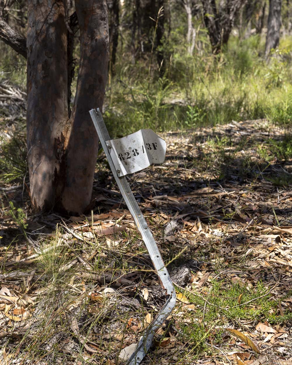 Spion Kop: an epic panoramic viewpoint on the Central Coast — Walk My World