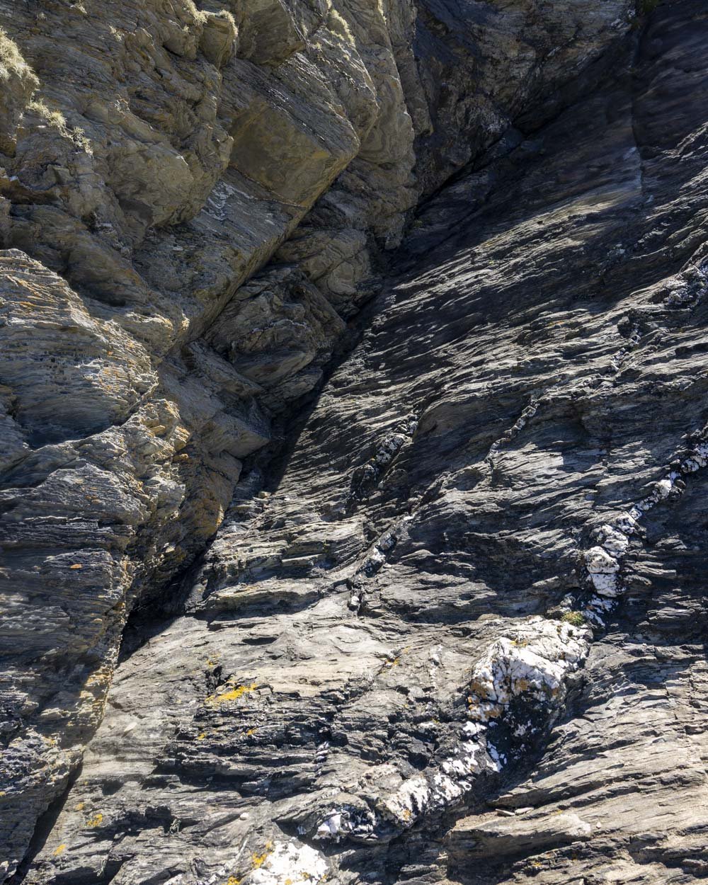 Godrevy Rockpool: a slice of the Mediterranean in Cornwall — Walk My World