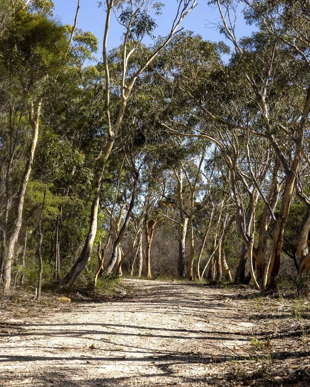 Jingga Pool and the secret swimming spots beyond — Walk My World