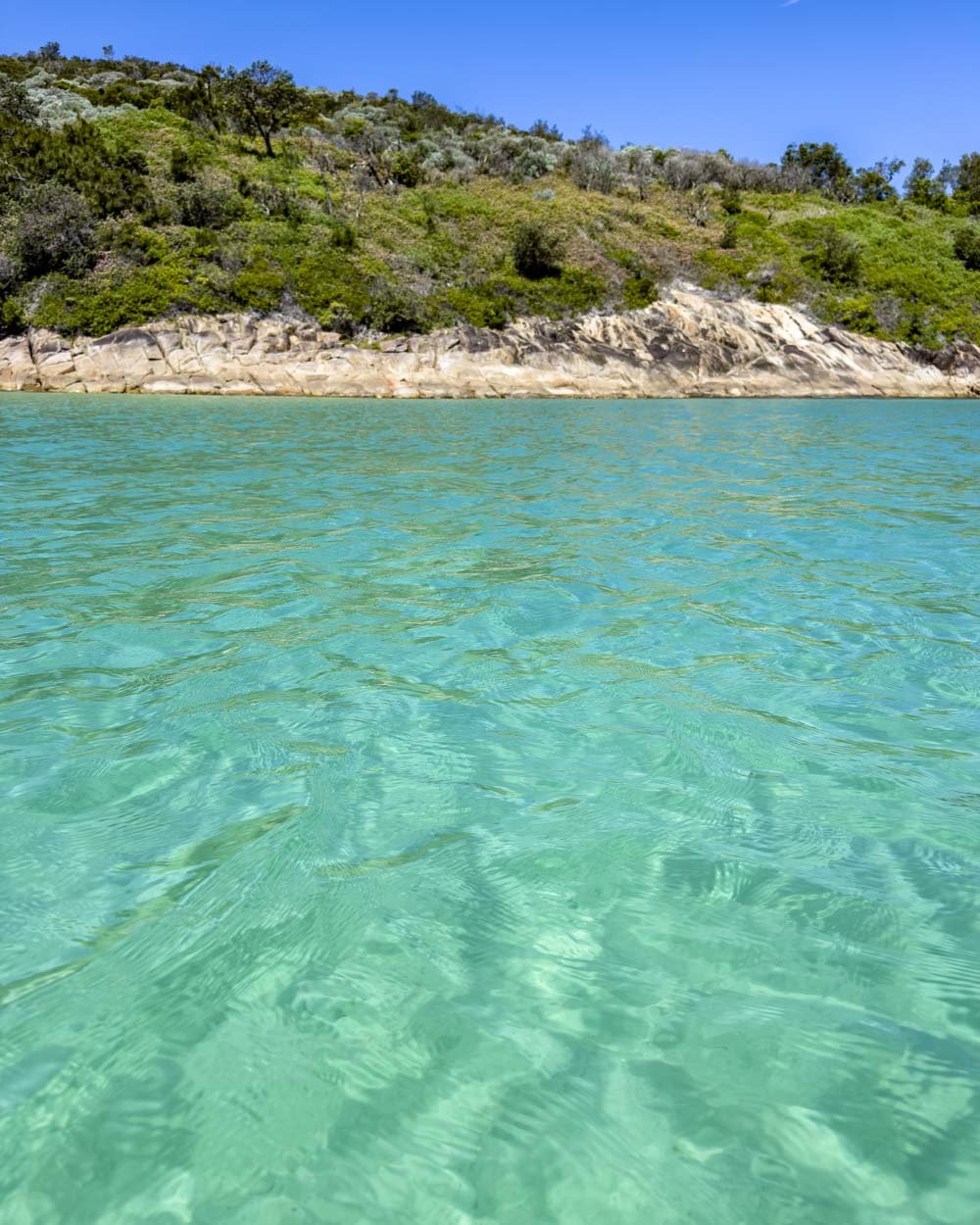 24 Incredible Things to do in Port Stephens including local secrets ...