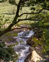 Black Moss Pot: the truth about wild swimming at the Lake District's ...