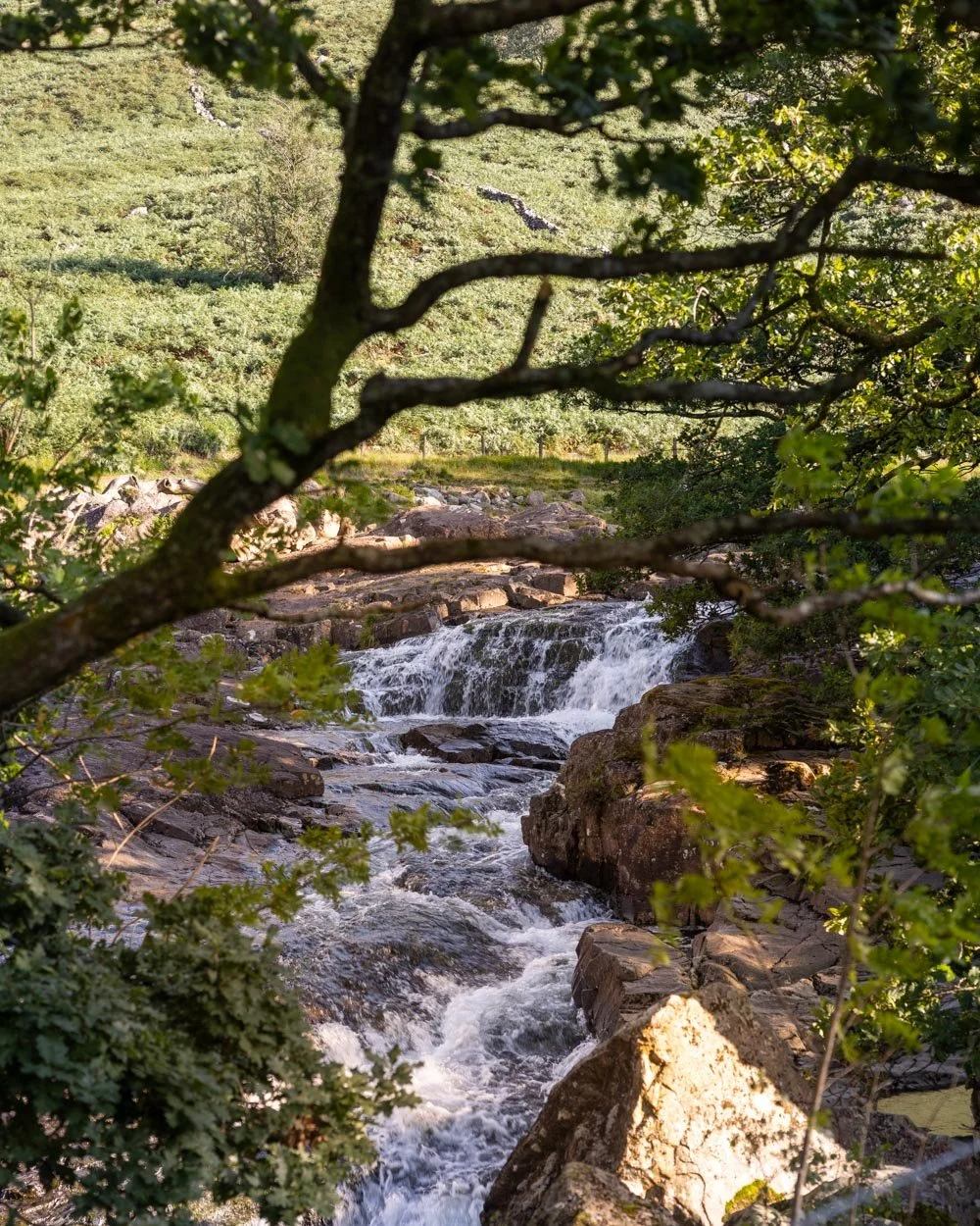 Black Moss Pot: the truth about wild swimming at the Lake District's ...