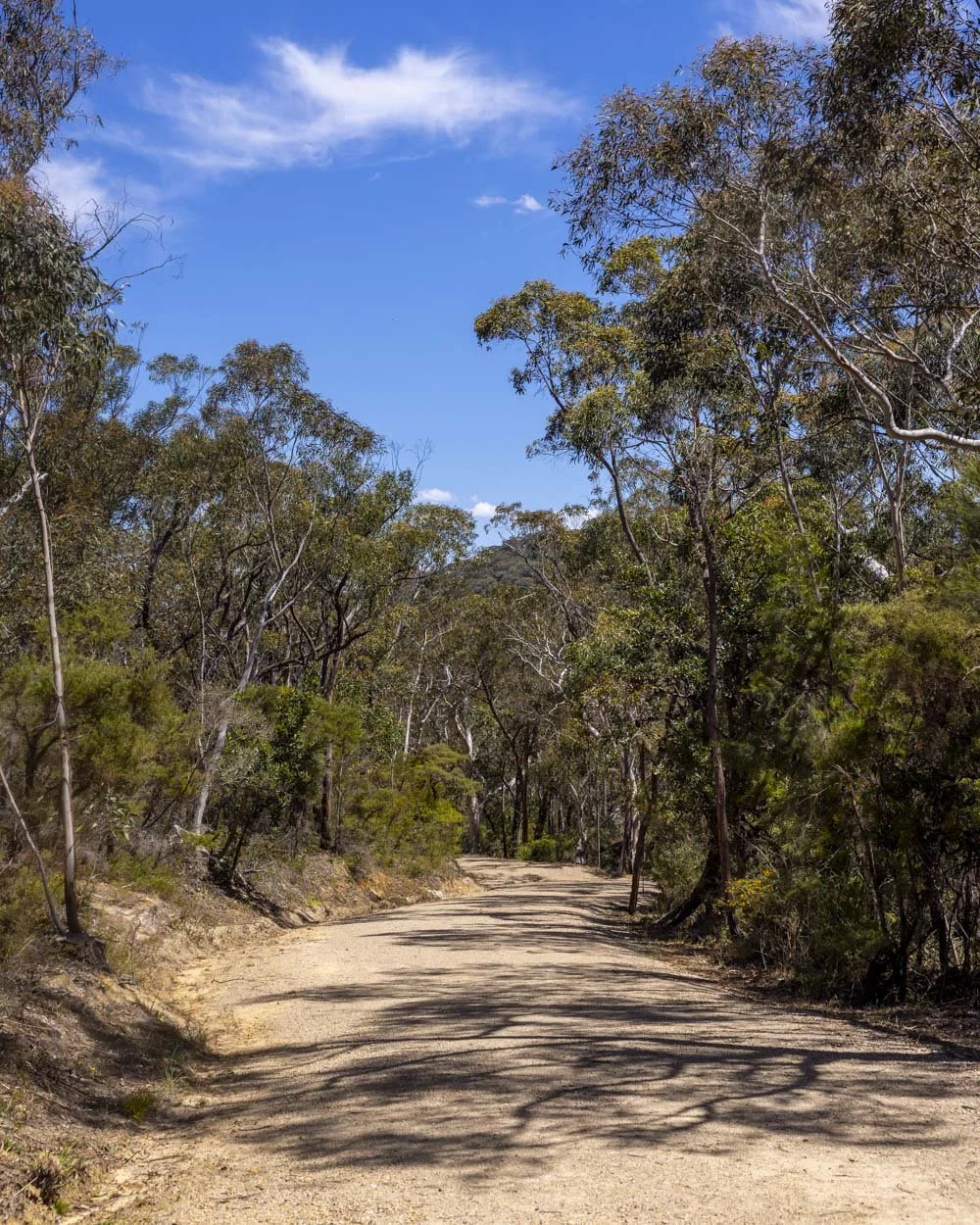 The stunning swimming holes of the Terrace Falls Track — Walk My World