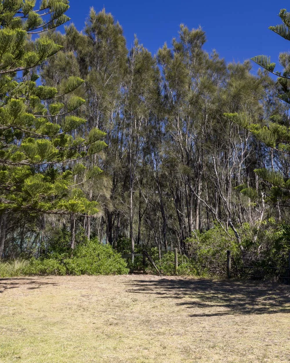 How to find the glorious Mossy Point Mermaid Pool — Walk My World