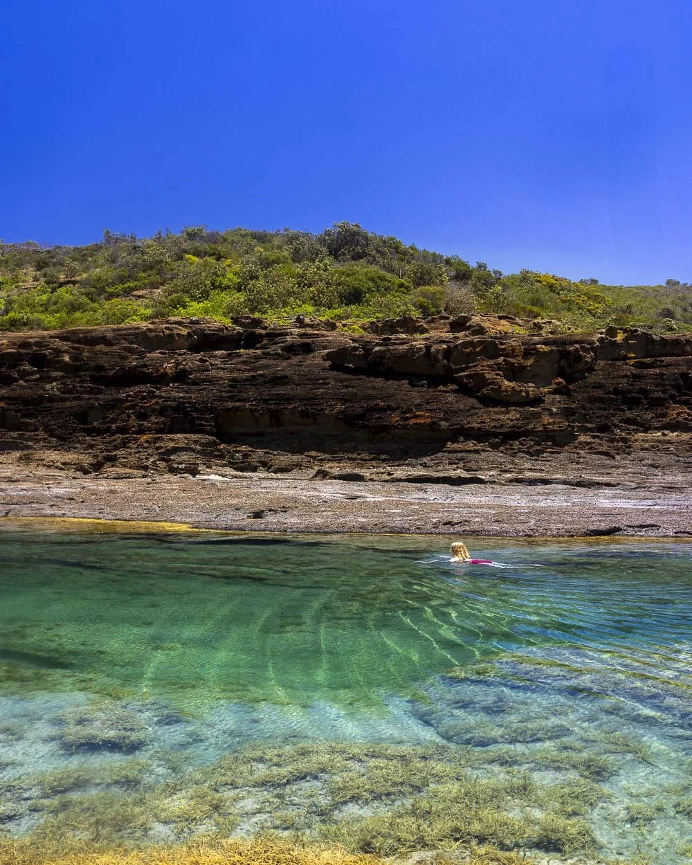 How to find the Catherine Hill Bay Rockpool: the best on the Central ...