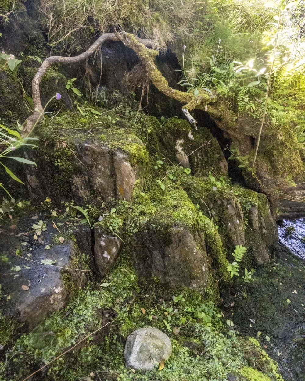 Hayeswater Gill: hidden waterfall pools and a spectacular mountain tarn ...