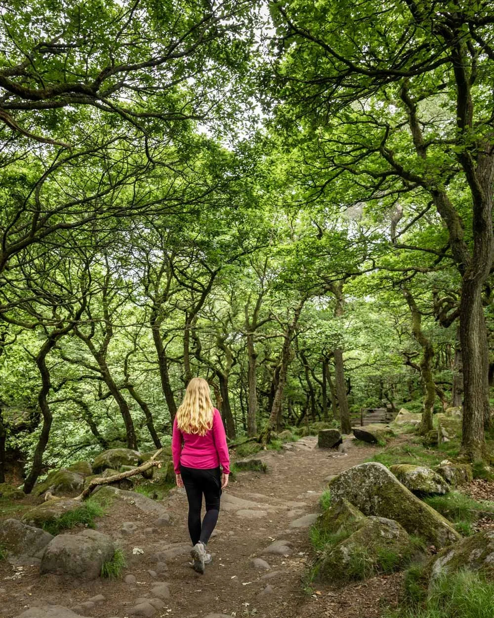 Padley Gorge: a spectacular circular walk through mysterious ancient ...