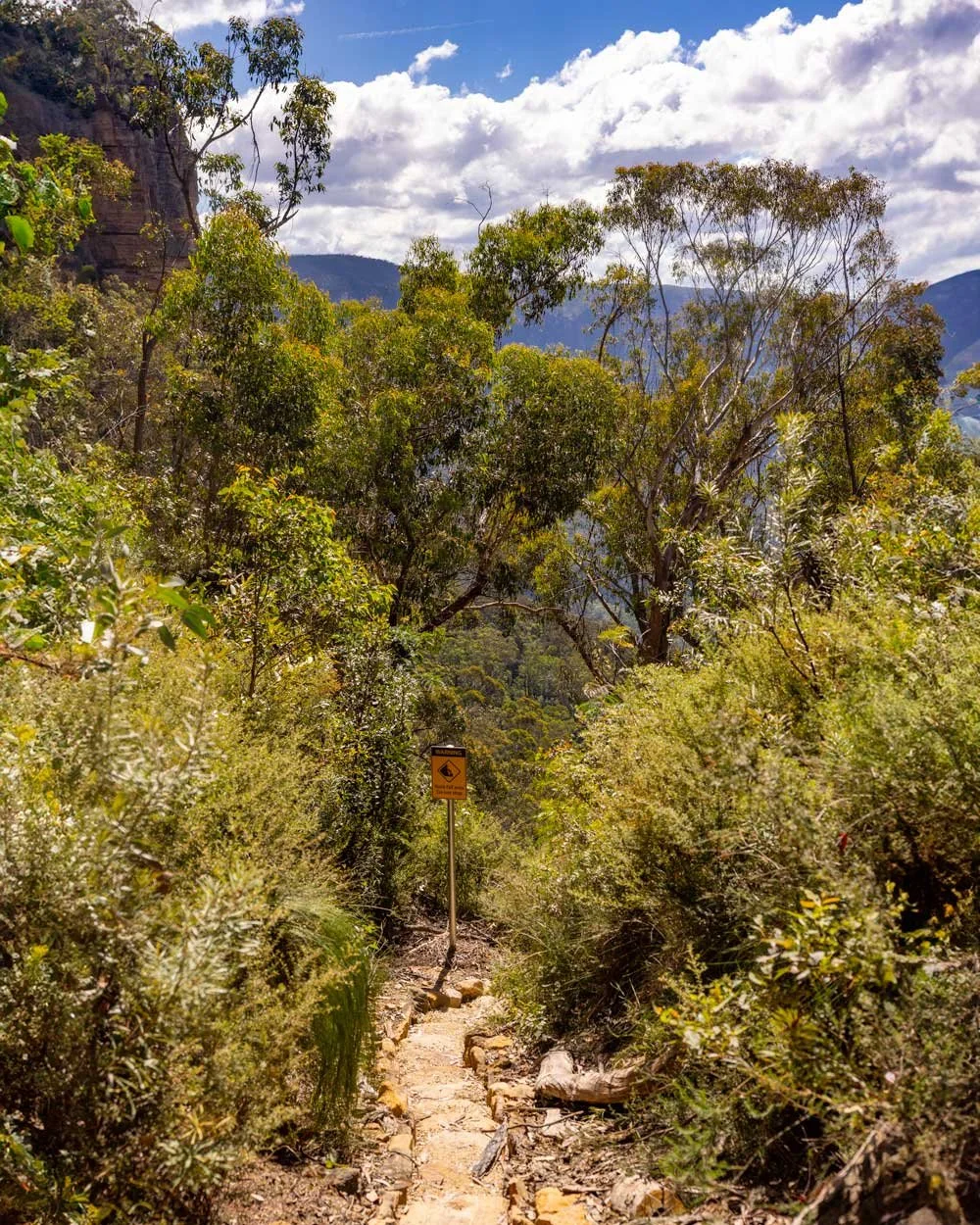 The Horse Track to Junction Rock: wild swimming and stunning blue gums ...