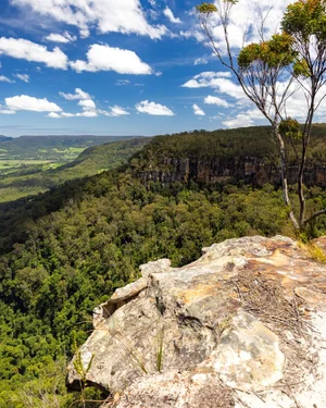 The secrets of Mannings Lookout: hidden waterfalls and lost viewpoints ...