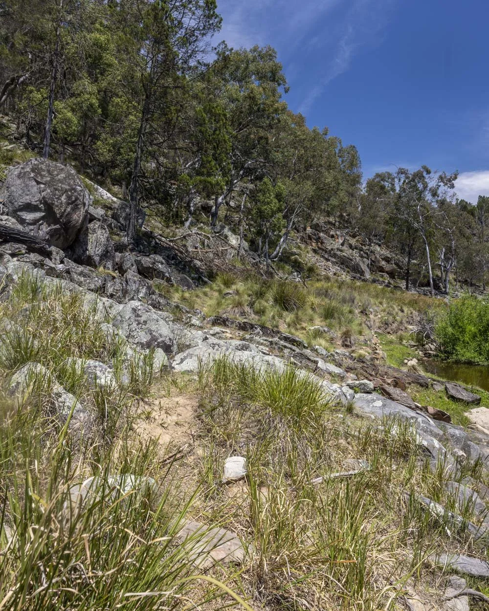 The Forge: is this Bathurst's most incredible hidden swimming spot ...