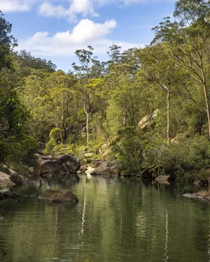 15 Truly Incredible Blue Mountains Wild Swimming Holes — Walk My World