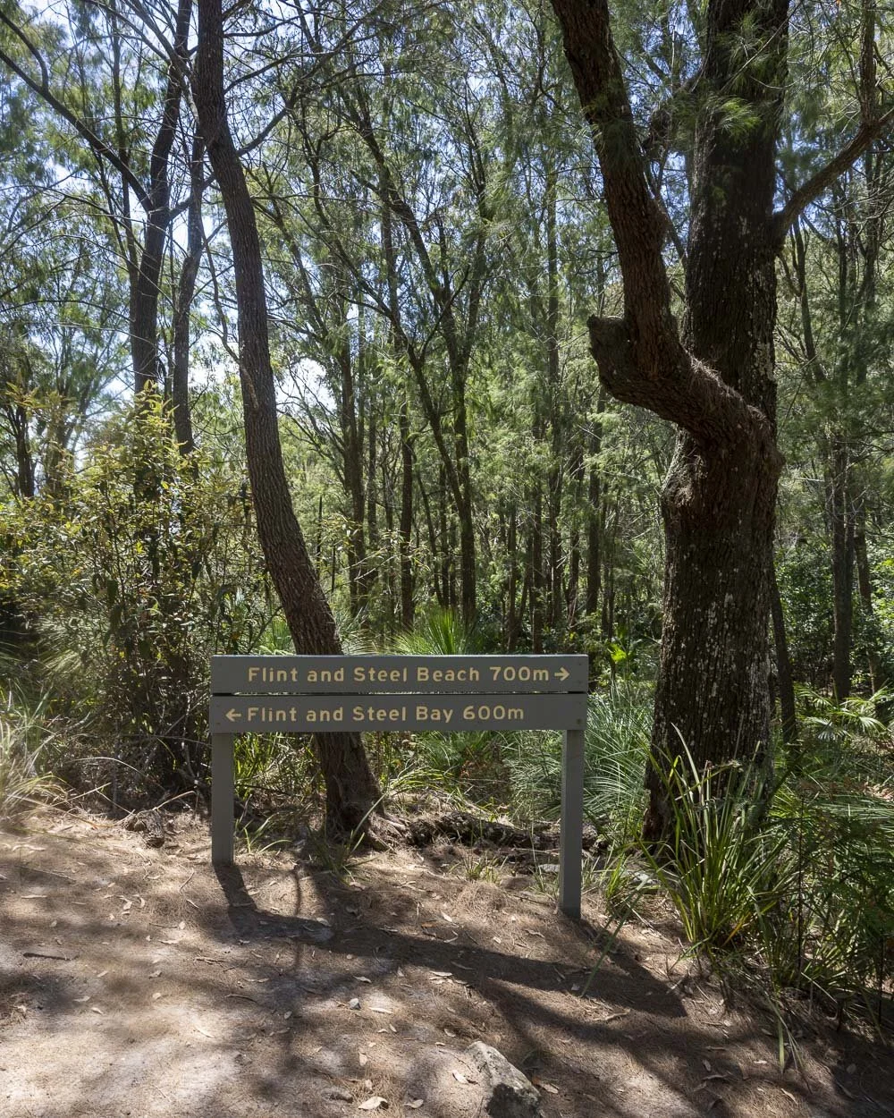 Flint and Steel Beach and beyond: the best wild swimming beaches in Ku ...