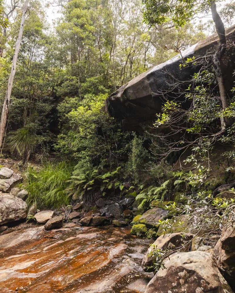 Pearly Ponds: a family friendly swimming hole on the Central Coast ...